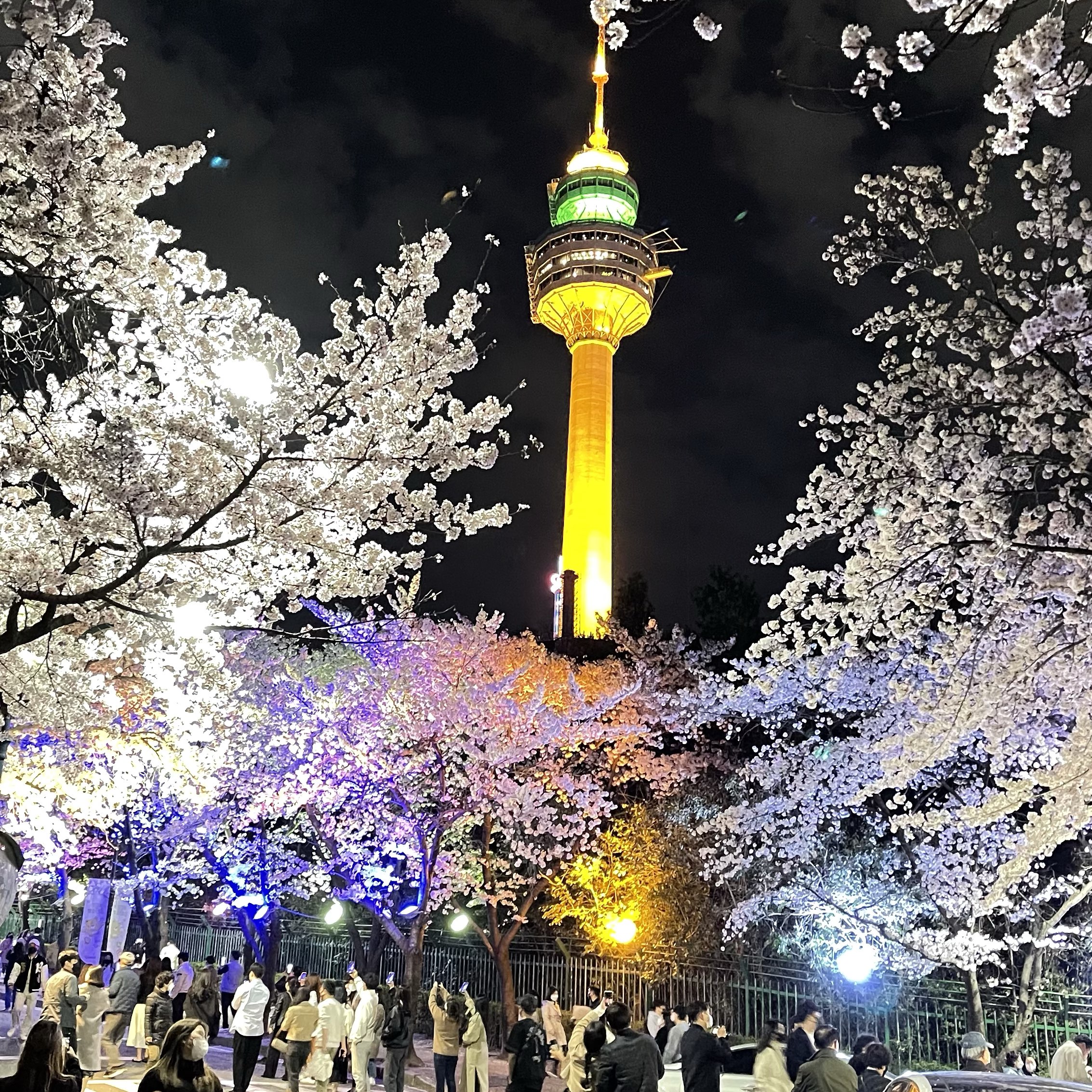 Daegu 2022 Top Things to Do - Daegu Travel Guides - Top Recommended ...