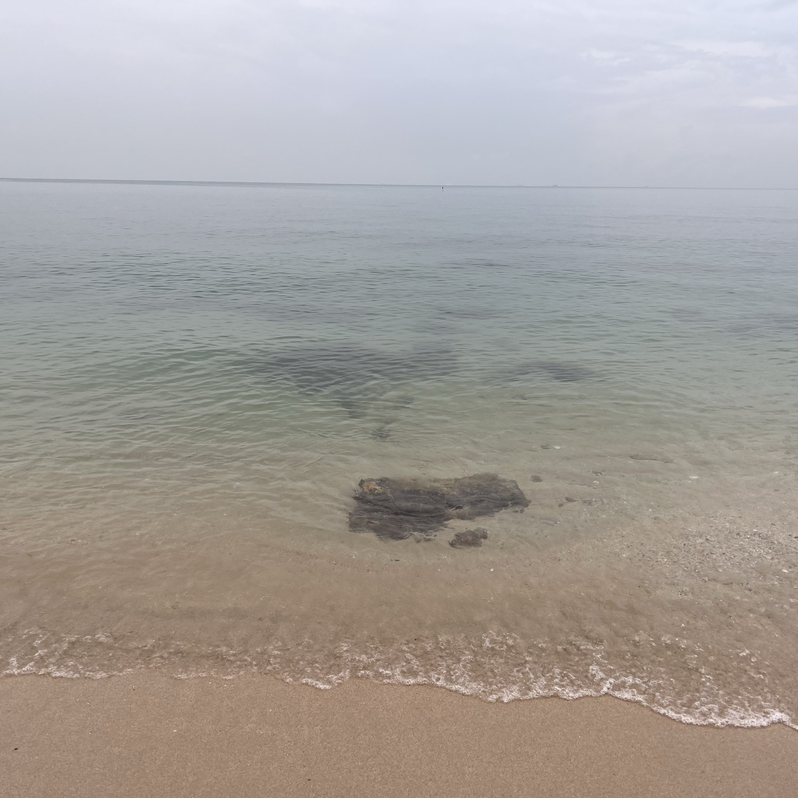 Kluang 2022 Top Things to Do - Kluang Travel Guides - Top Recommended ...