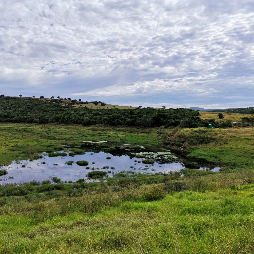 Eastern Cape 2022 Top Things to Do - Eastern Cape Travel Guides - Top ...