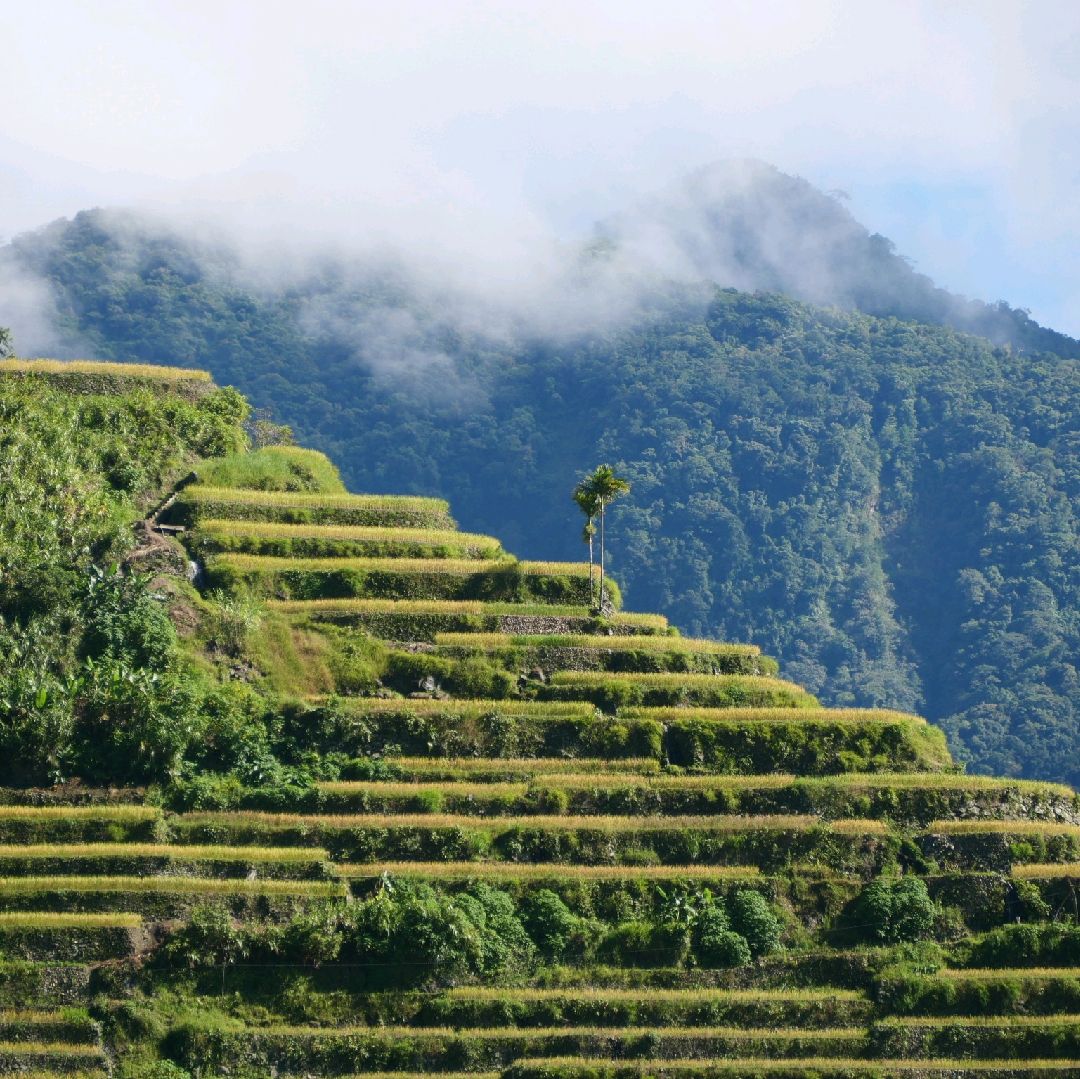 Ifugao 2022 Top Things to Do - Ifugao Travel Guides - Top Recommended ...