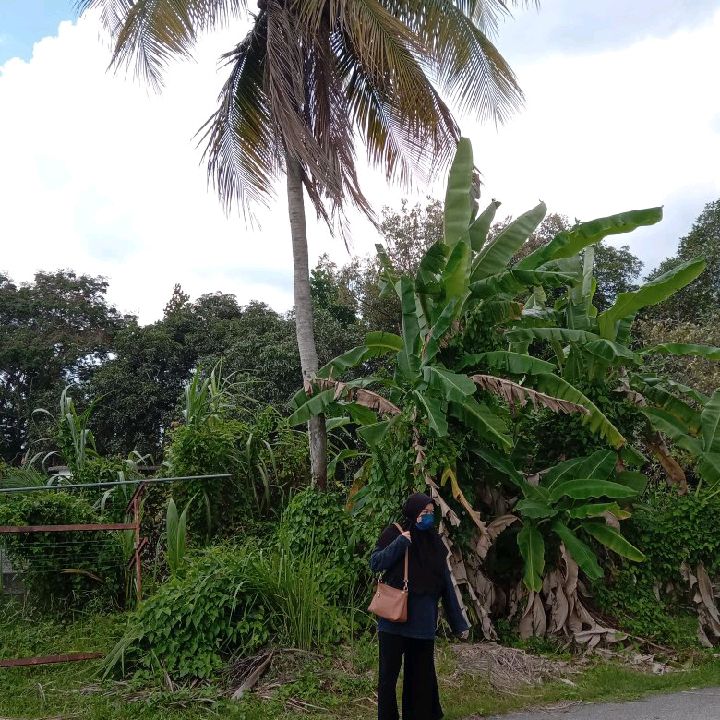 Tampin 2022 Top Things to Do - Tampin Travel Guides - Top Recommended ...