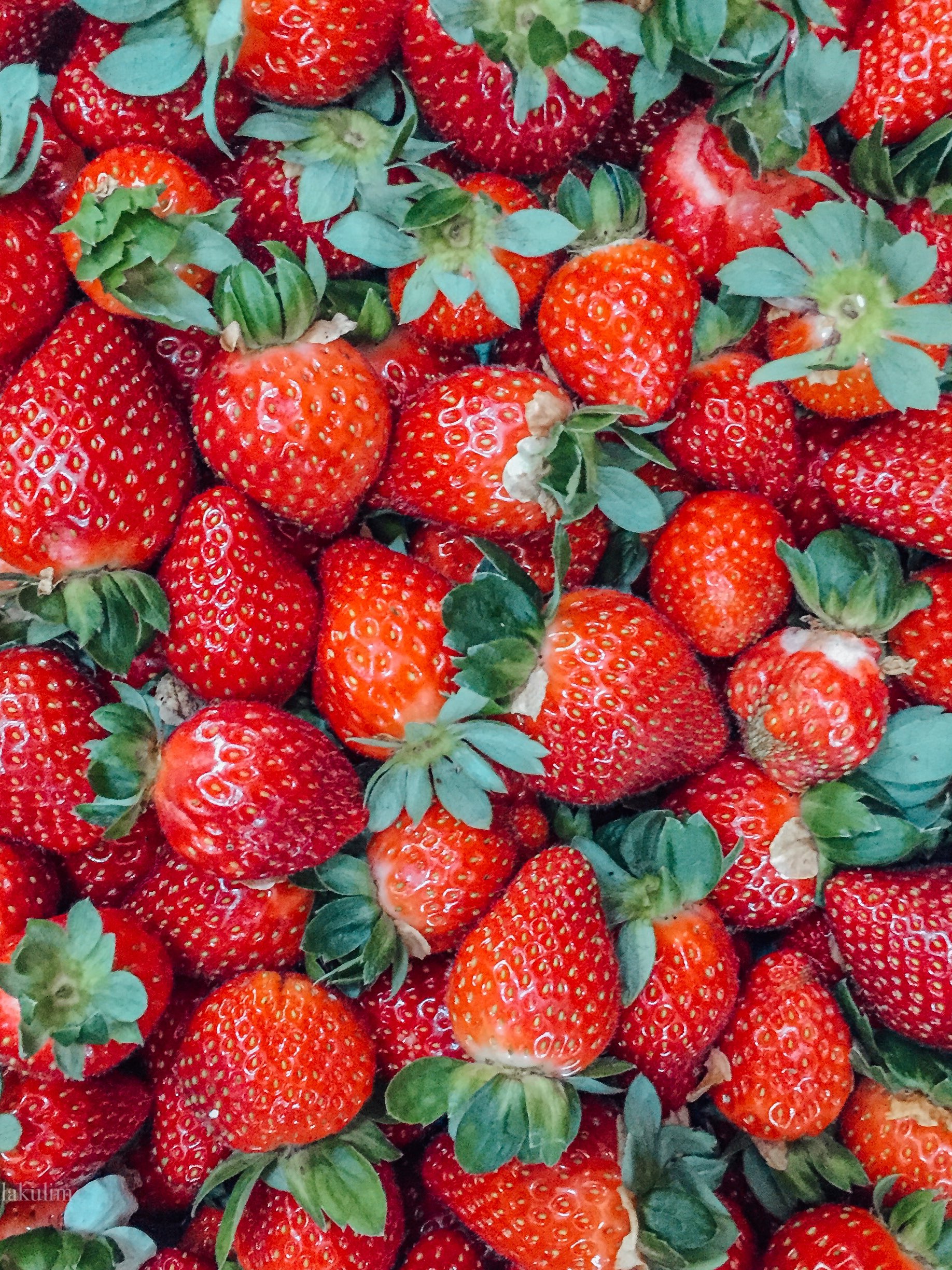 Ulu Telom 2022 Top Things to Do - Ulu Telom Travel Guides - Top ...