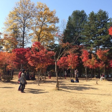 Chuncheon-si 2022 Top Things to Do - Chuncheon-si Travel Guides - Top ...