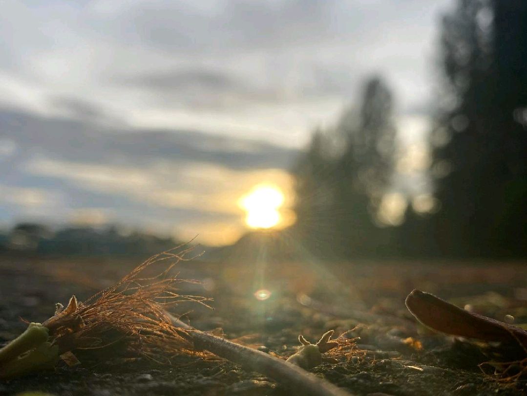 Bacolod 2022 Top Things to Do - Bacolod Travel Guides - Top Recommended ...