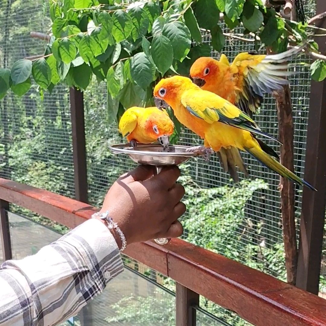 Liyang 2022 Top Things to Do - Liyang Travel Guides - Top Recommended ...