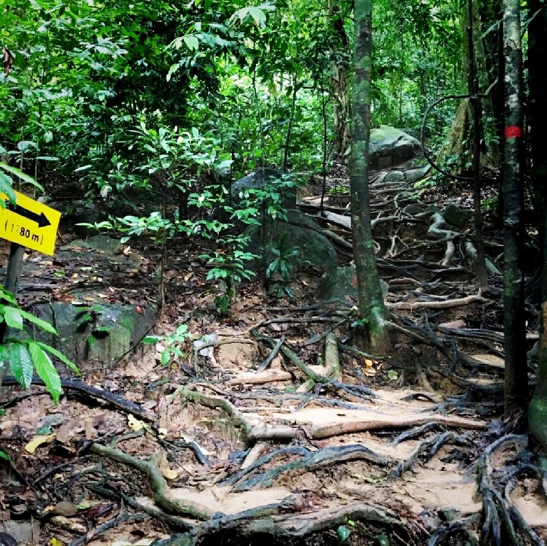 Tampin 2022 Top Things to Do - Tampin Travel Guides - Top Recommended ...