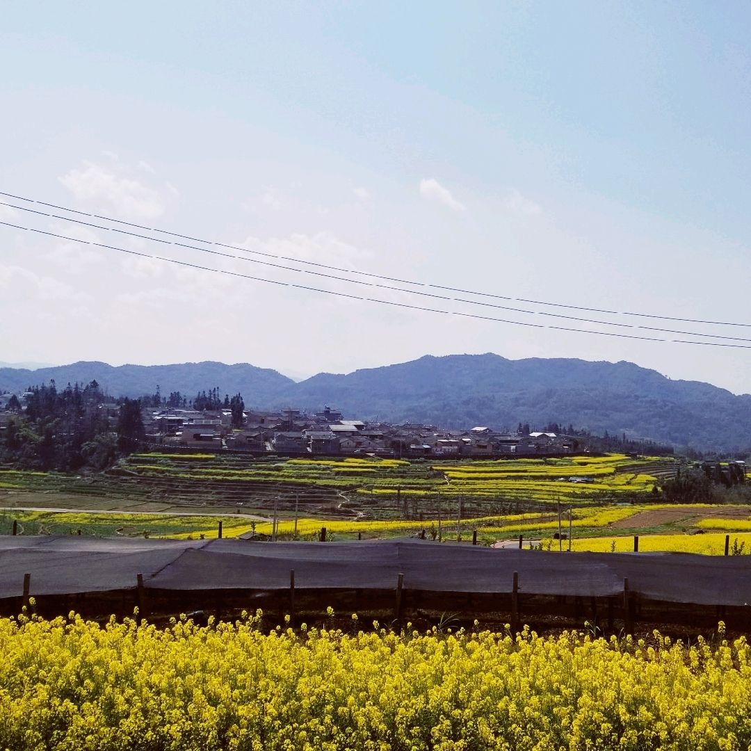 Baoshan 2022 Top Things to Do - Baoshan Travel Guides - Top Recommended ...