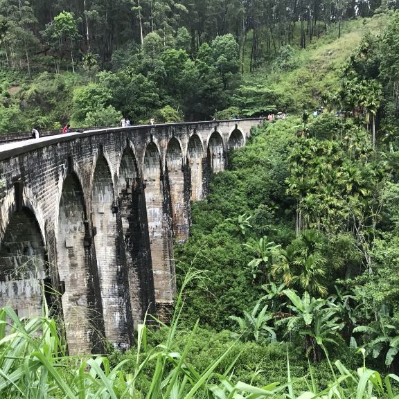 Uva Province 2022 Top Things to Do - Uva Province Travel Guides - Top ...