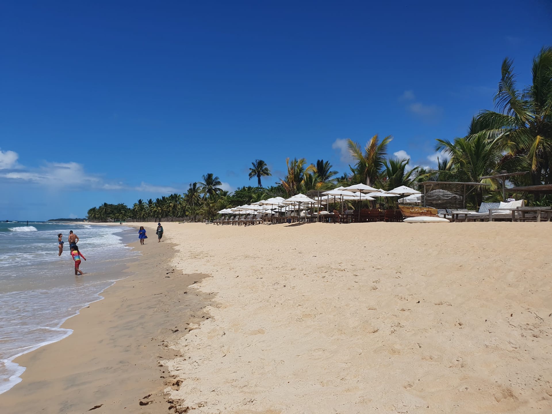 Bahia 2022 Top Things to Do - Bahia Travel Guides - Top Recommended ...