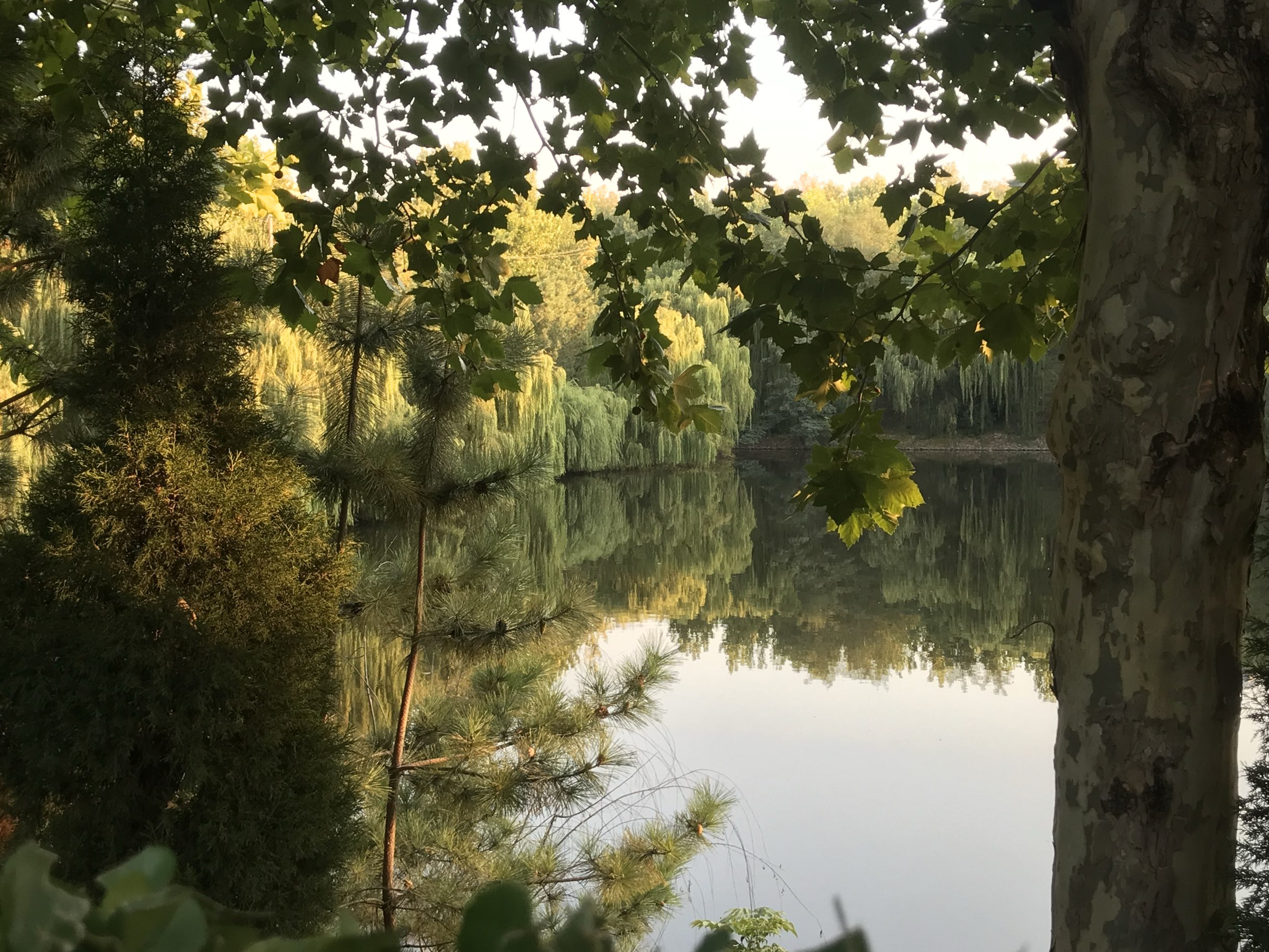 Longkou 2022 Top Things to Do - Longkou Travel Guides - Top Recommended ...