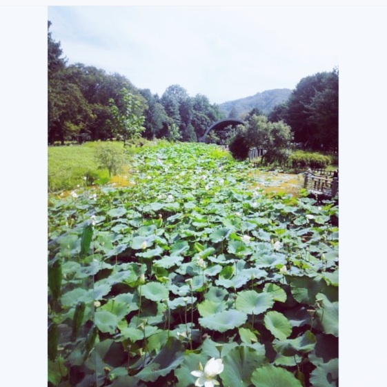 Chuncheon-si 2022 Top Things to Do - Chuncheon-si Travel Guides - Top ...