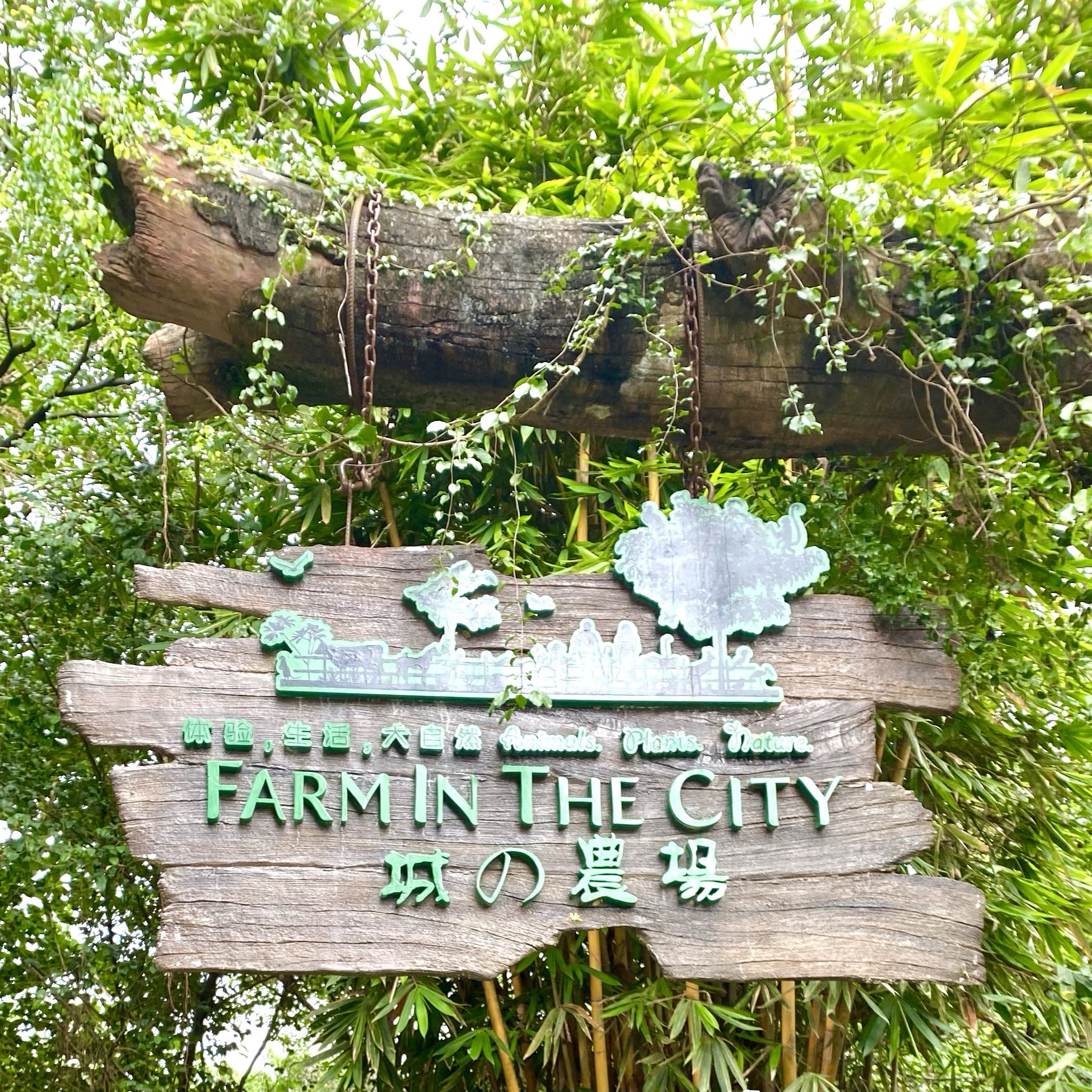 Seri Kembangan 2022 Top Things to Do - Seri Kembangan Travel Guides ...