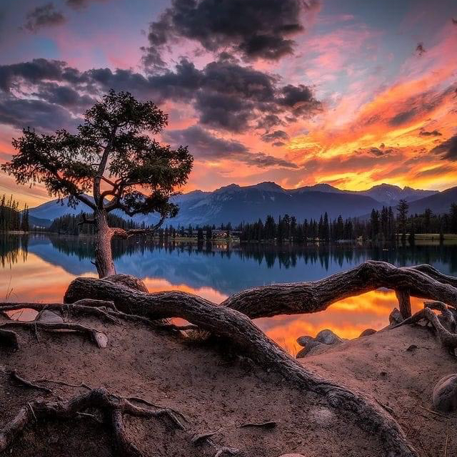 Jasper 2022 Top Things to Do - Jasper Travel Guides - Top Recommended ...