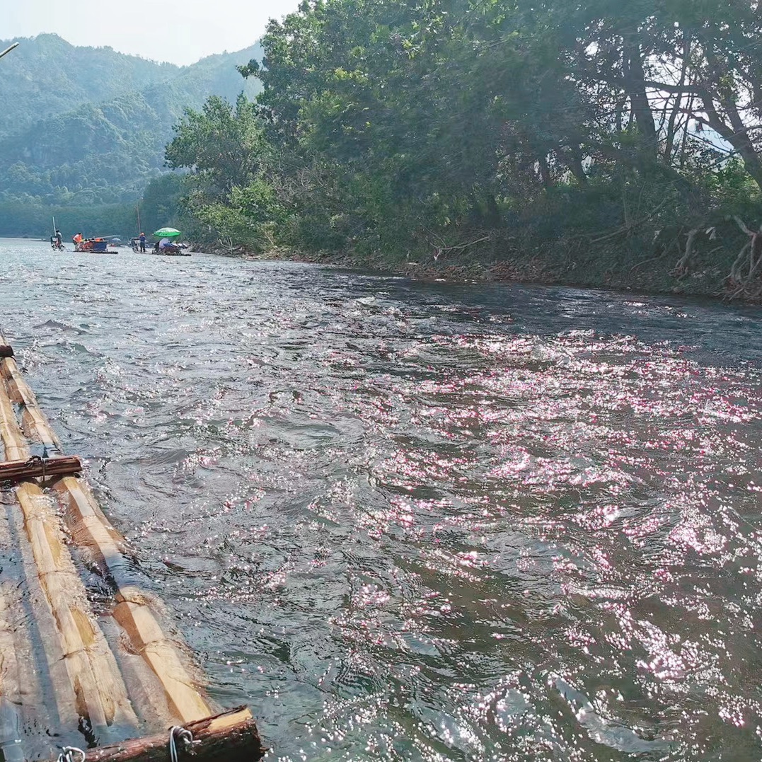 Yueqing 2022 Top Things to Do - Yueqing Travel Guides - Top Recommended ...