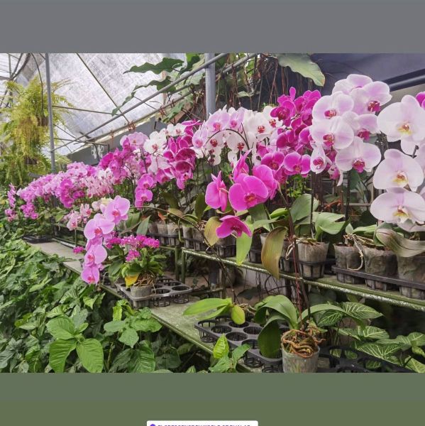 Hulu Yam 2022 Top Things to Do - Hulu Yam Travel Guides - Top ...