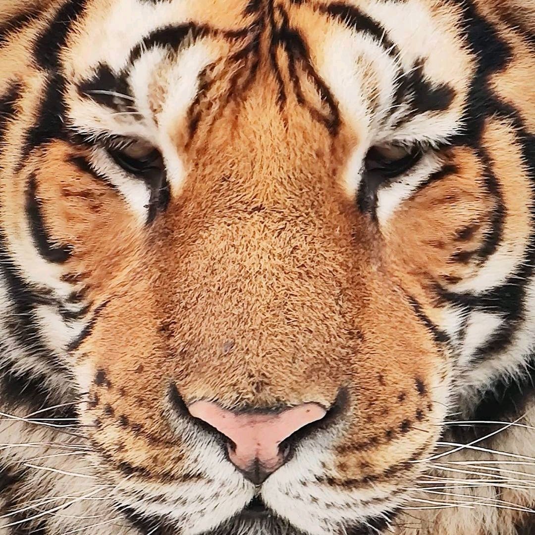 Harbin 2022 Top Things to Do - Harbin Travel Guides - Top Recommended ...