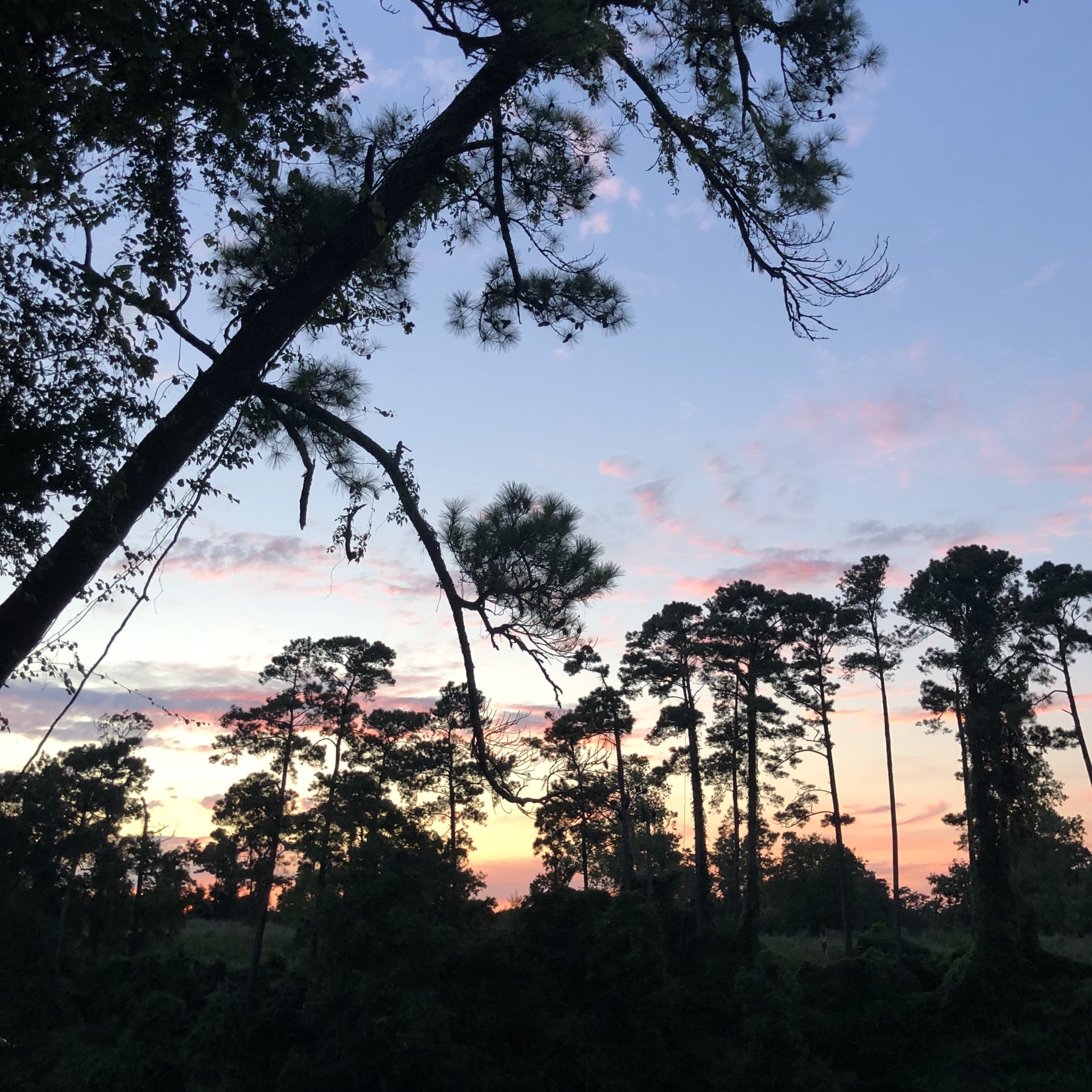 Horry County 2022 Top Things to Do - Horry County Travel Guides - Top ...