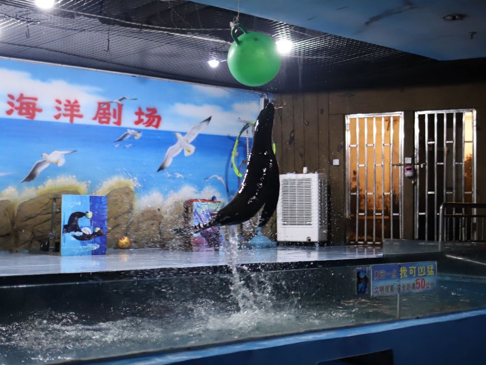 Jiaxing Itinerary for 10 Days : Ultimate Jiaxing Travel Guide - Trip.com