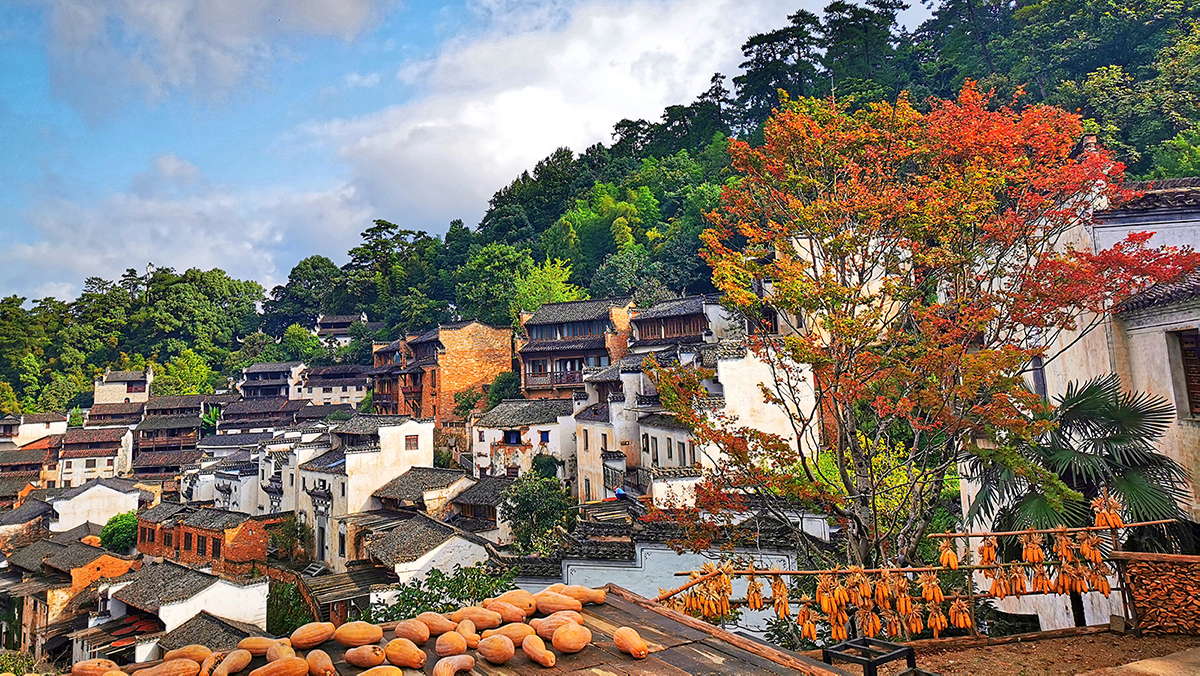 6 Days in Wuyuan: What to Do and See in Wuyuan - Trip.com