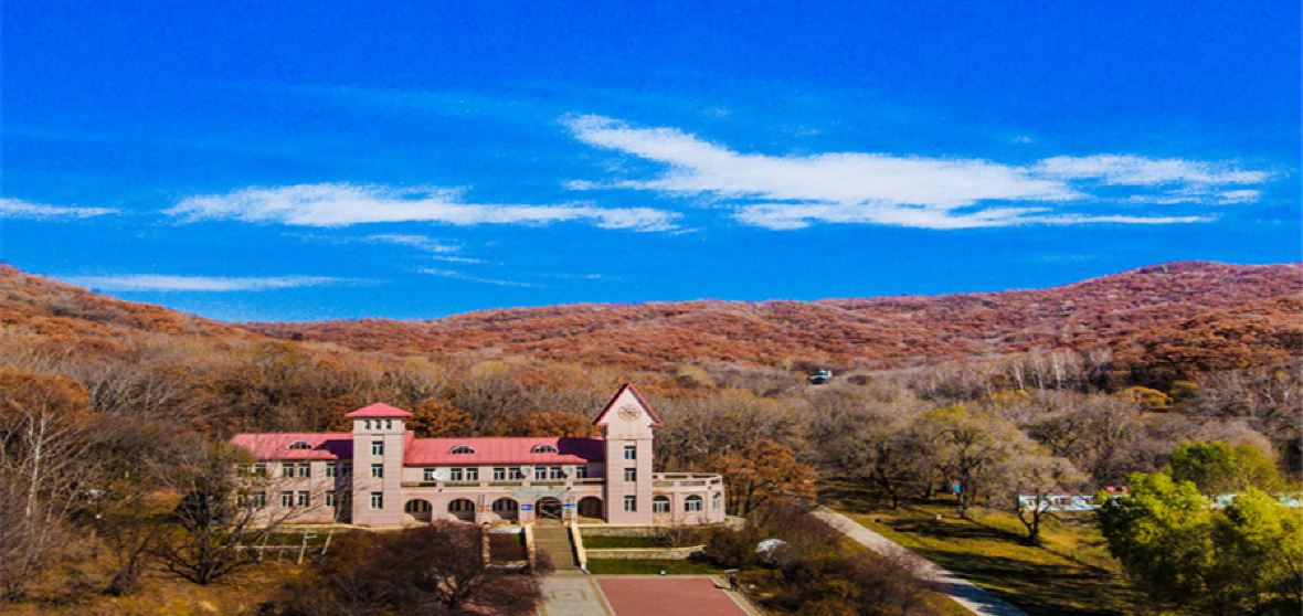 Acheng District 2023 Top Things to Do - Acheng District Travel Guides ...