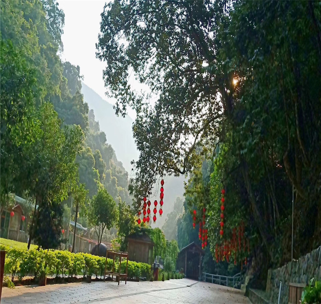 Anxi Itinerary for 3 Days : Ultimate Anxi Travel Guide - Trip.com