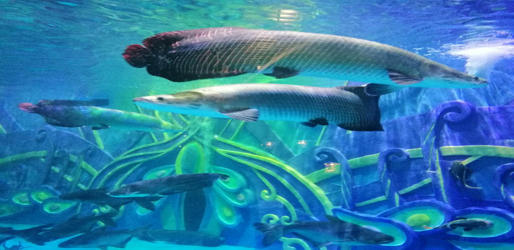 5 Days in Jinghong: What to Do and See in Jinghong - Trip.com