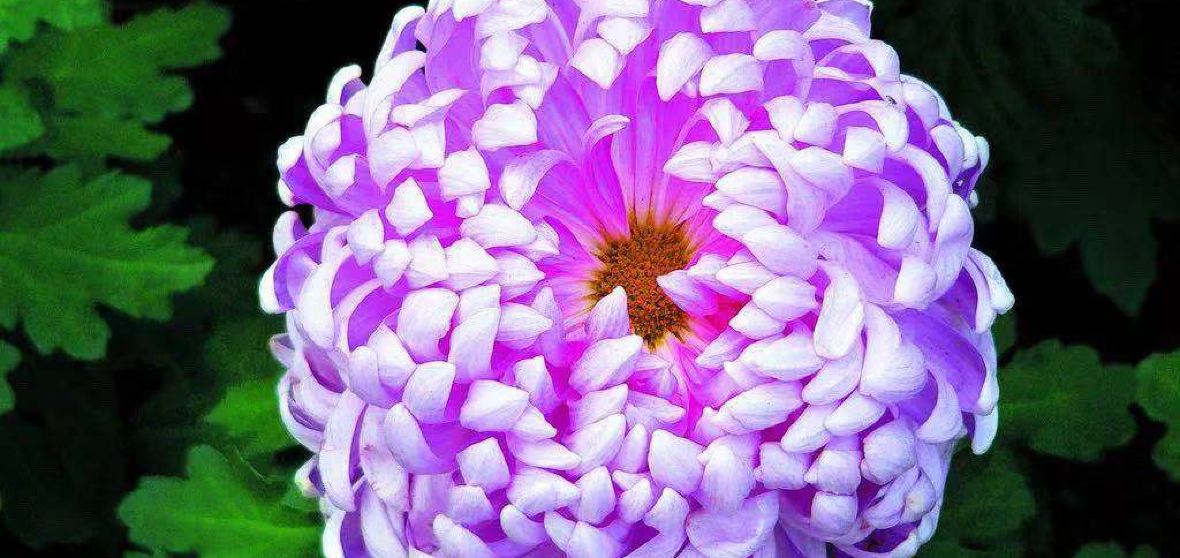 Tieling 2022 Top Things to Do - Tieling Travel Guides - Top Recommended ...