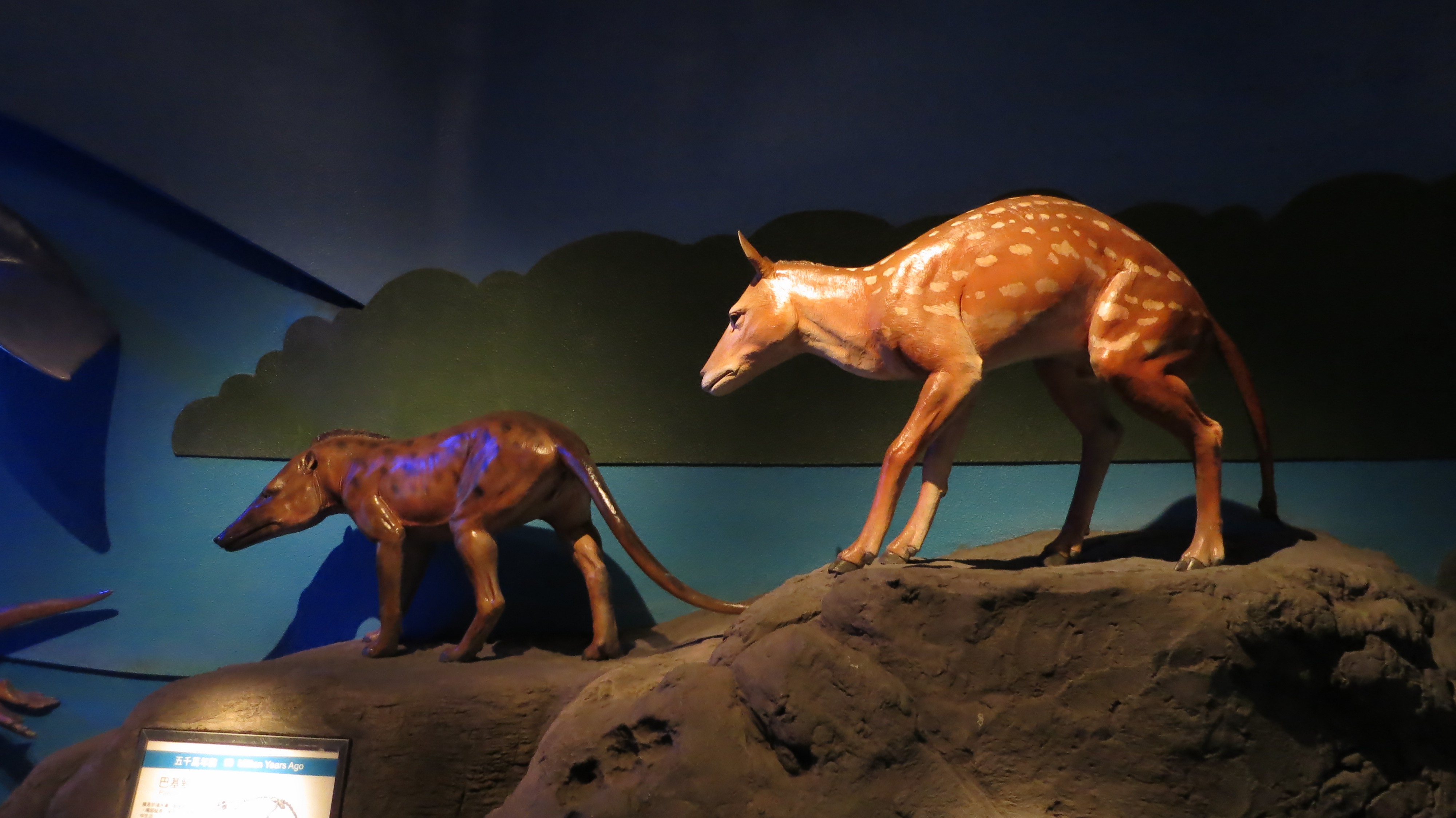 Travel Pingtung Itinerary:10 day Must-do list in Pingtung - Trip.com