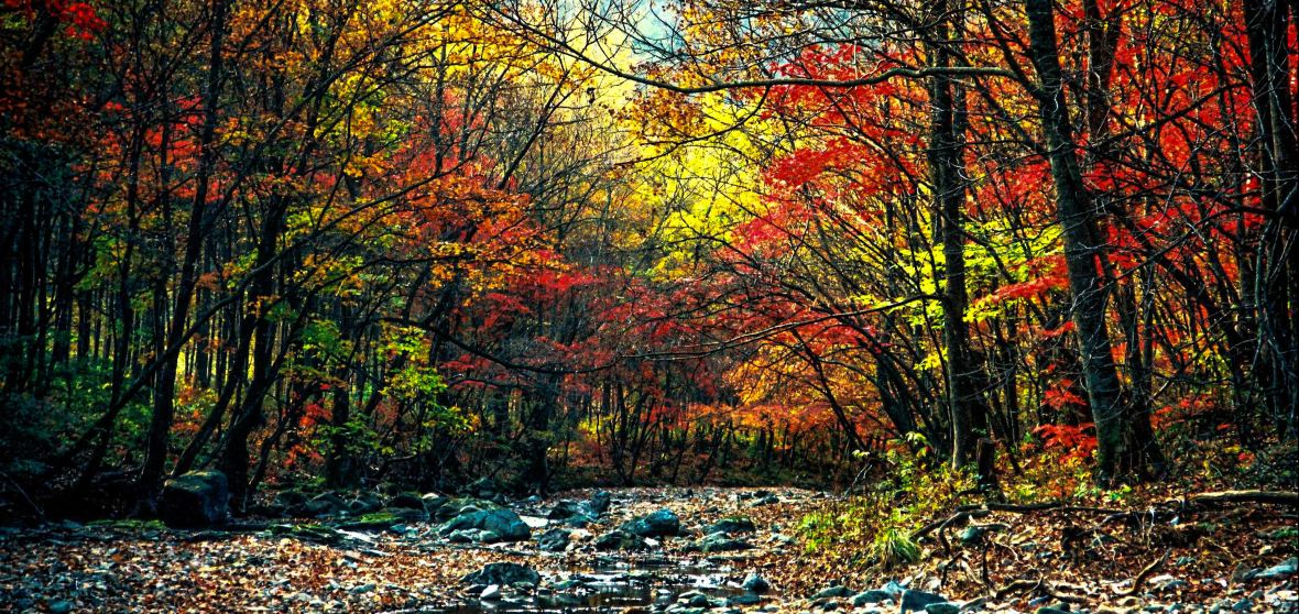 10 Best Things to do in Benxi, Liaoning - Benxi travel guides 2021 ...