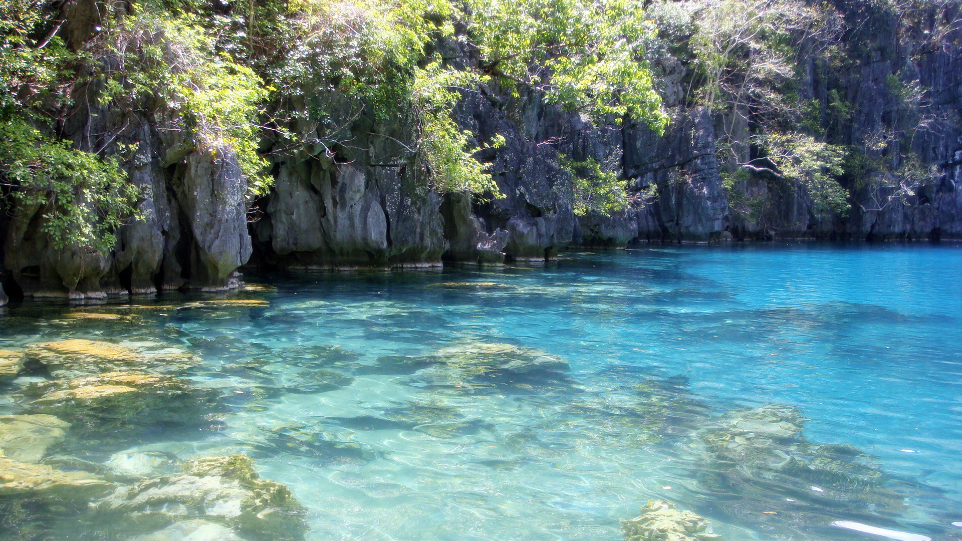 Palawan Itinerary for 5 Days : Ultimate Palawan Travel Guide - Trip.com