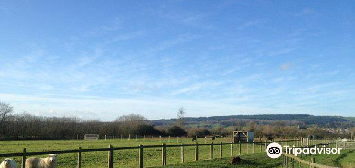 Arlingham Travel Guide 2023 - Things to Do, What To Eat & Tips | Trip.com