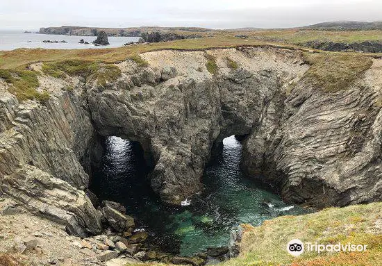 10 Best Things to do in Catalina, Newfoundland and Labrador - Catalina ...