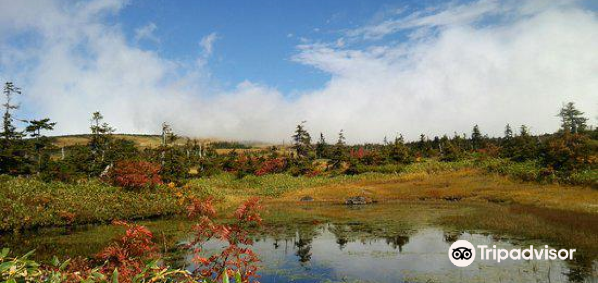 Sakae Travel Guide 2023 - Things to Do, What To Eat & Tips | Trip.com