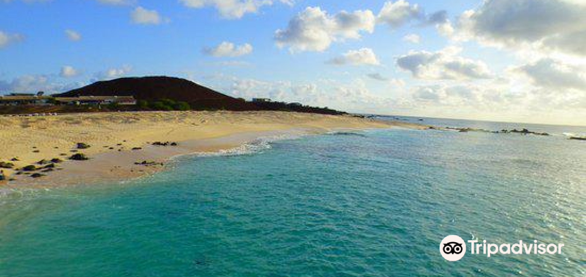 Smelser 2022 Top Things to Do - Smelser Travel Guides - Top Recommended ...