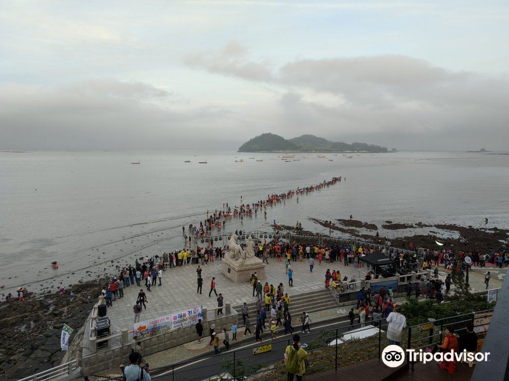 Travel Jindo-gun Itinerary:1 day Must-do list in Jindo-gun - Trip.com