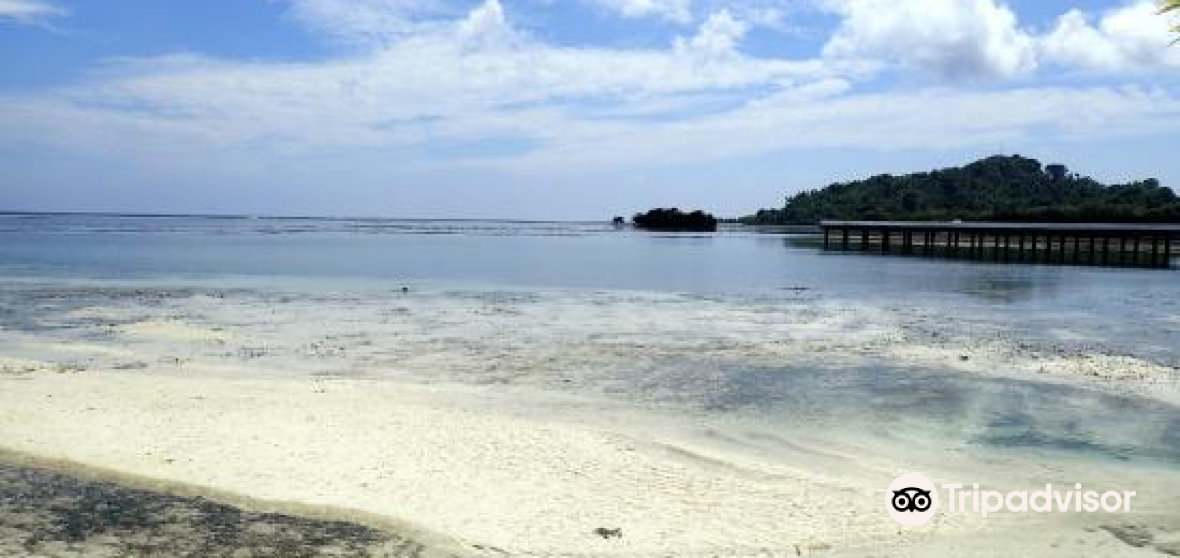 Kosrae 2023 Top Things to Do - Kosrae Travel Guides - Top Recommended ...