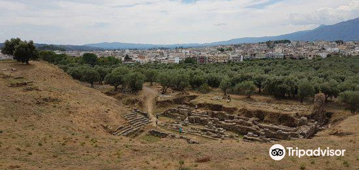 10 Best Things to do in Sparta, Laconia - Sparta travel guides 2021 ...