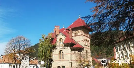 Raucesti 여행 코스 & 인기 여행지 추천 | 트립닷컴