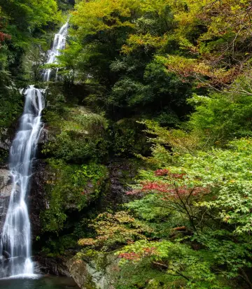 Tokushima Prefecture Travel Guide 2023 - Things to Do, What To Eat ...