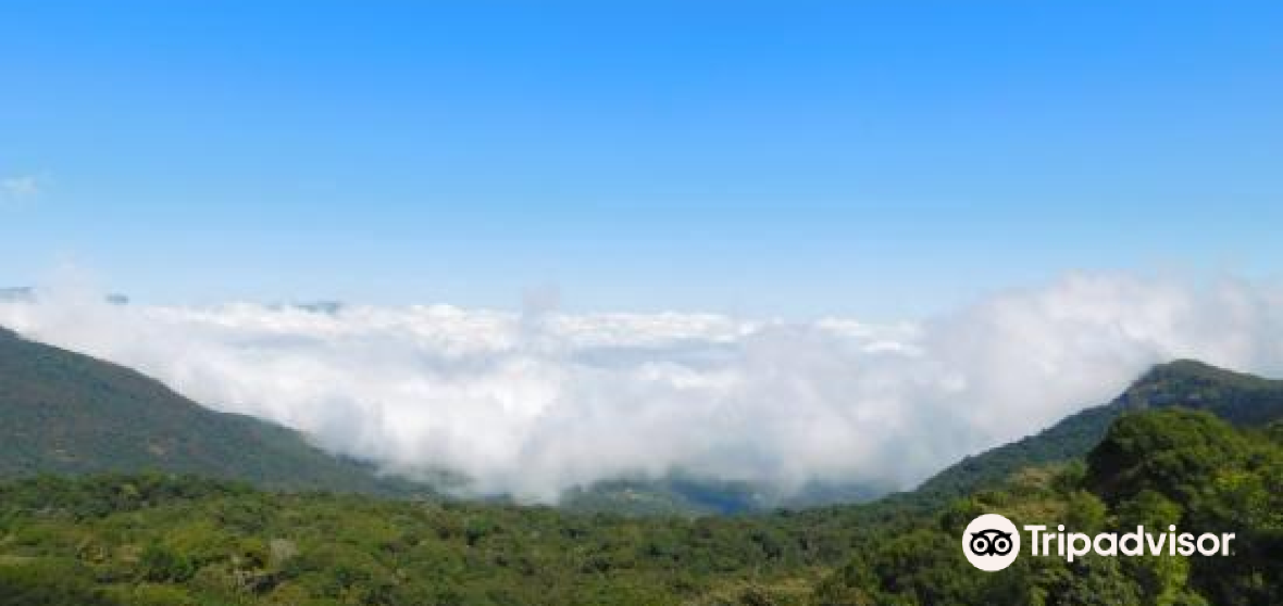 Kanthalloor Travel Guide 2024 - Things to Do, What To Eat & Tips | Trip.com