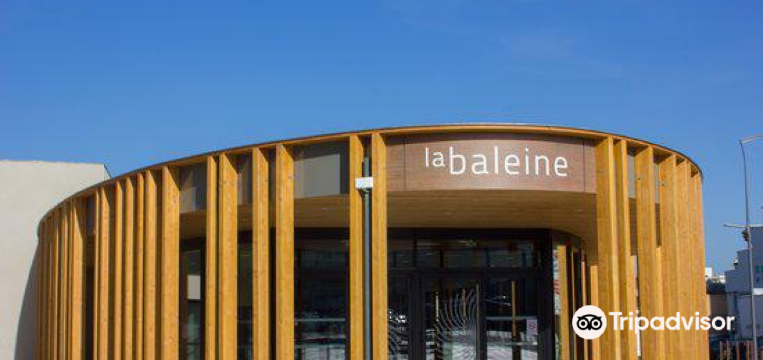 Onet-le-Chateau Travel Guide 2023 - Things to Do, What To Eat & Tips ...
