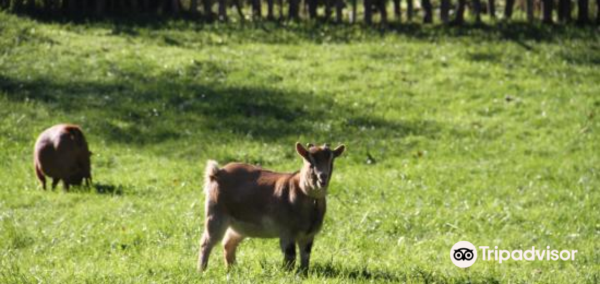 กิจกรรมน่าทำยอดนิยมในDrcaประจำปี 2023 - คู่มือท่องเที่ยวDrca - แนะนำ ...