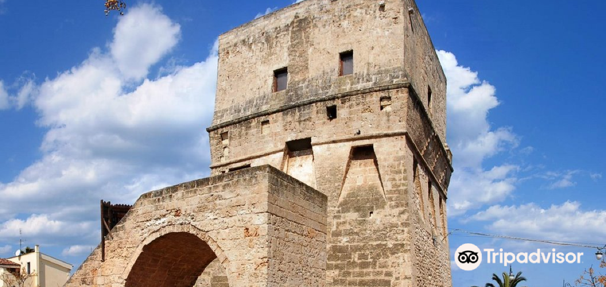 กิจกรรมน่าทำยอดนิยมในTorre a Mareประจำปี 2022 - คู่มือท่องเที่ยวTorre a ...