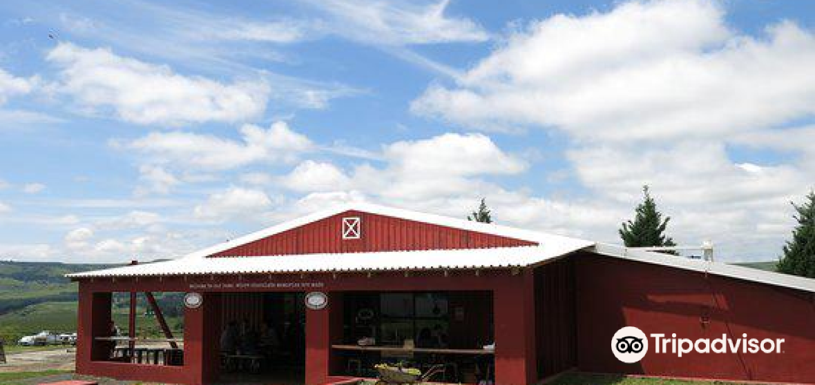 Bergview Travel Guide 2023 - Things to Do, What To Eat & Tips | Trip.com