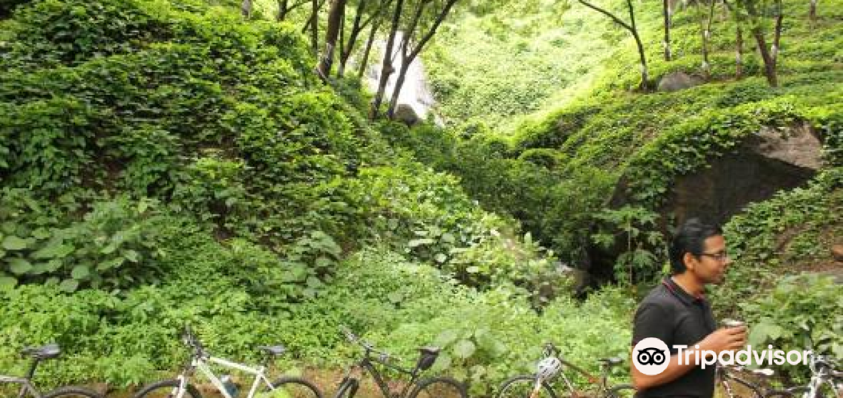 Perinthalmanna 2023 Top Things to Do - Perinthalmanna Travel Guides ...