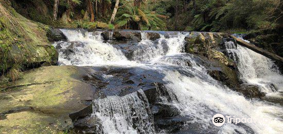 Boolarra 2022 Top Things to Do - Boolarra Travel Guides - Top ...