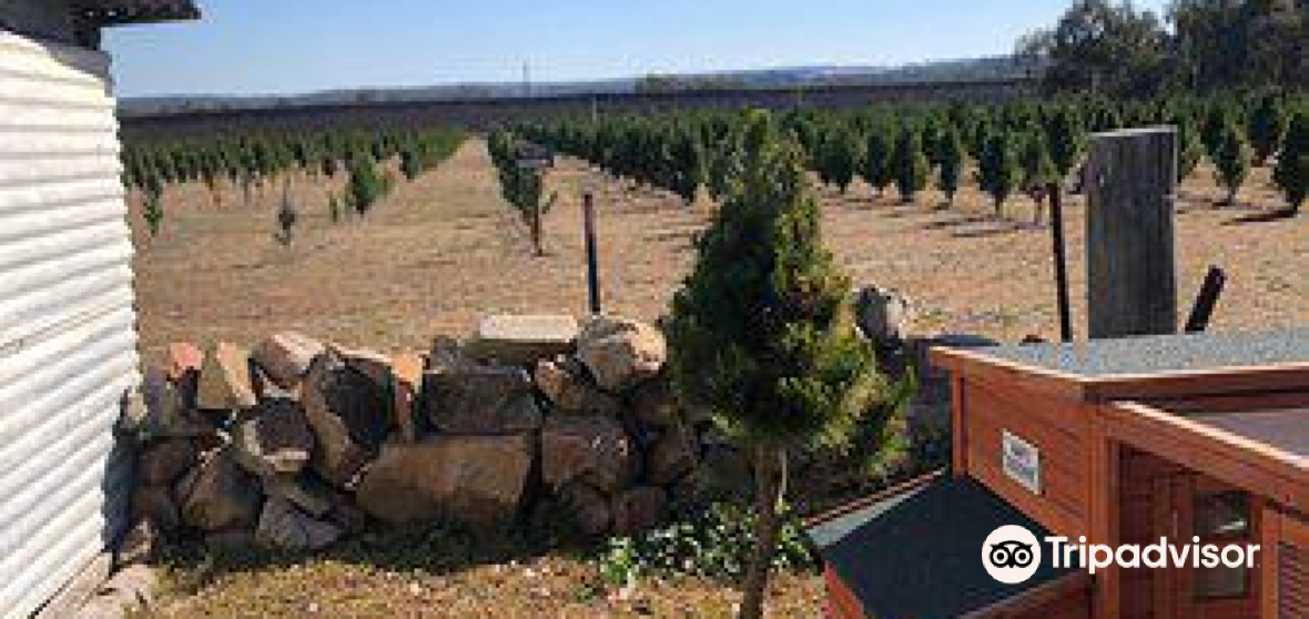 Applethorpe Travel Guide 2023 - Things to Do, What To Eat & Tips | Trip.com