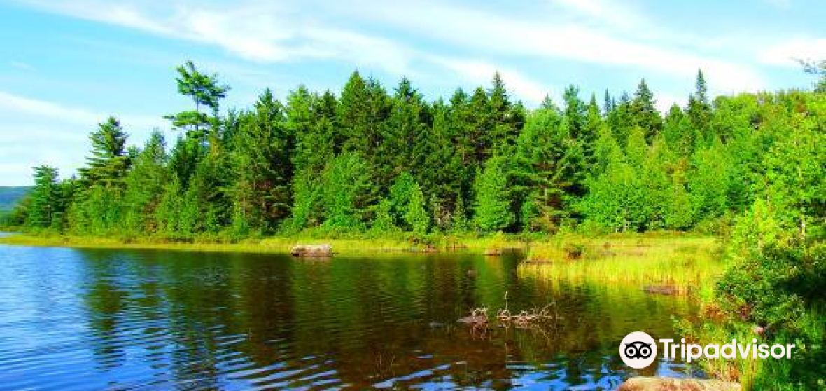 Piscataquis County 2022 Top Things to Do - Piscataquis County Travel ...