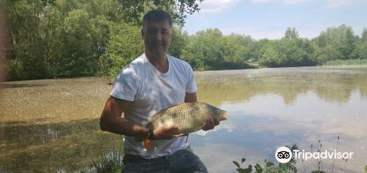 กิจกรรมน่าทำยอดนิยมในGreat Packingtonประจำปี 2023 - คู่มือท่องเที่ยว ...