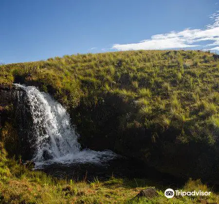 10 Best Things to do in Uyole, Mbeya - Uyole travel guides 2021– Trip.com